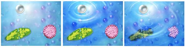 BioSilver 22 Gel 100ml