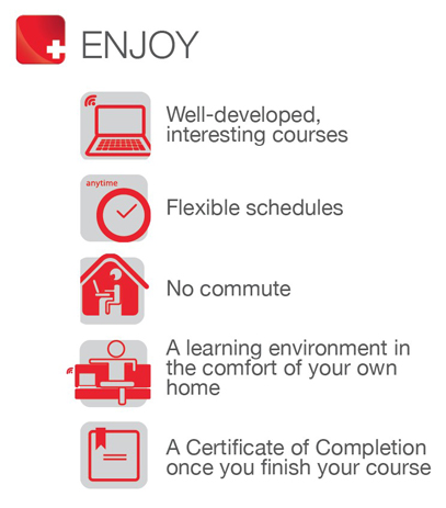 Swiss eLearning Institute--Business English Level 12